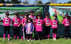 Sansei Baseball League > Home