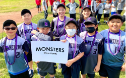 Sansei Baseball League > Home