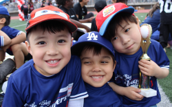 Sansei Baseball League > Home