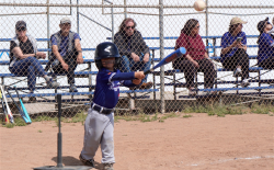 Sansei Baseball League > Home